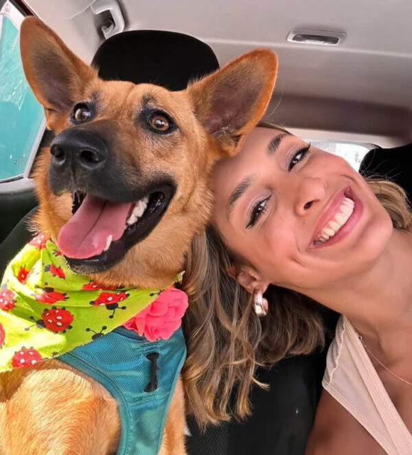 El Foster Club – Rescue • Foster • Adopt